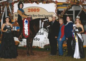 Red Ransom A. – National Association of Breeders